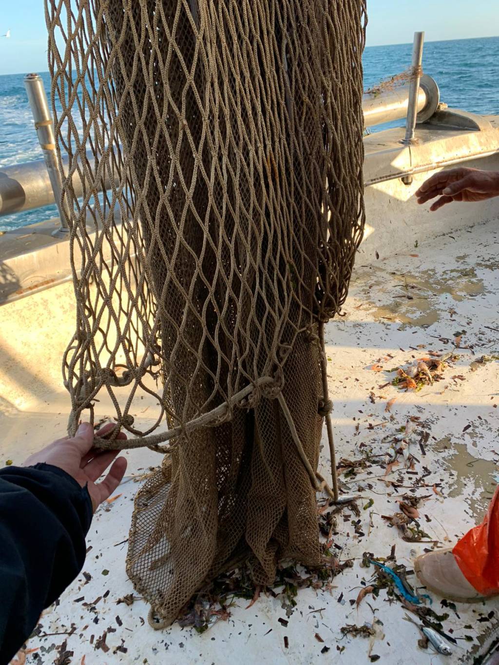 Rete a strascico illegale, scatta il sequestro