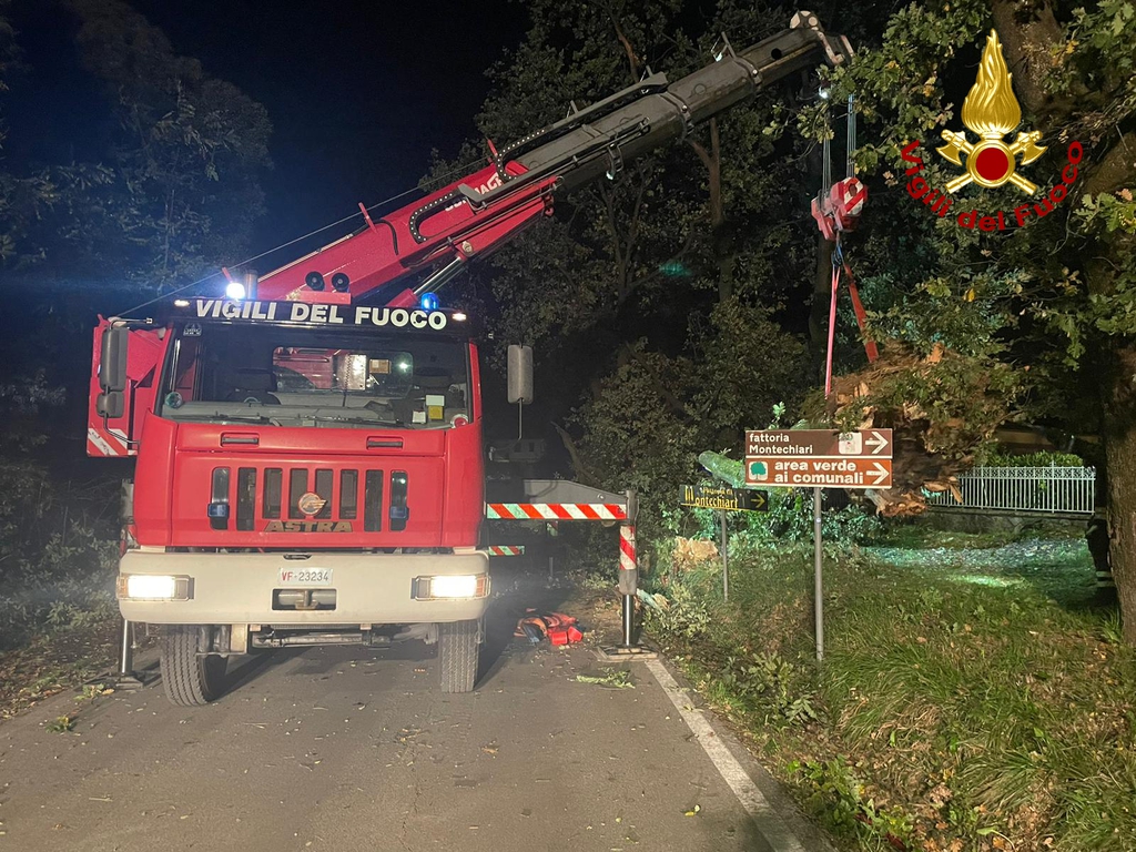 Vigili del Fuoco a Montecarlo per la rimozione di una grande quercia caduta in strada