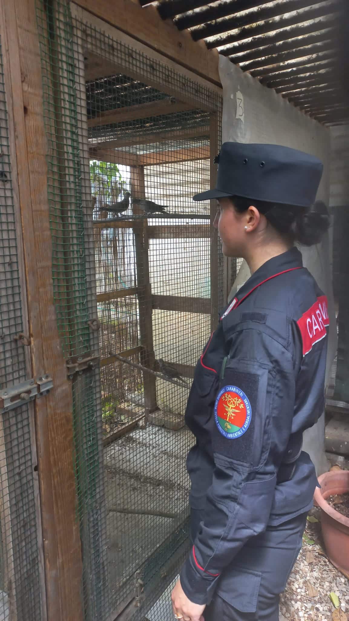 Blitz dei Forestali in un terreno: trovati scarti edili e sequestrate 7 ...